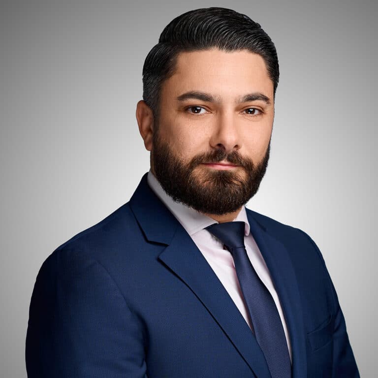 Meet Our Legal Specialists | Pinkhasov & Associates, PLLC.