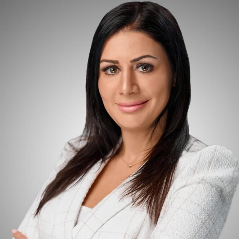 Meet Our Legal Specialists | Pinkhasov & Associates, PLLC.